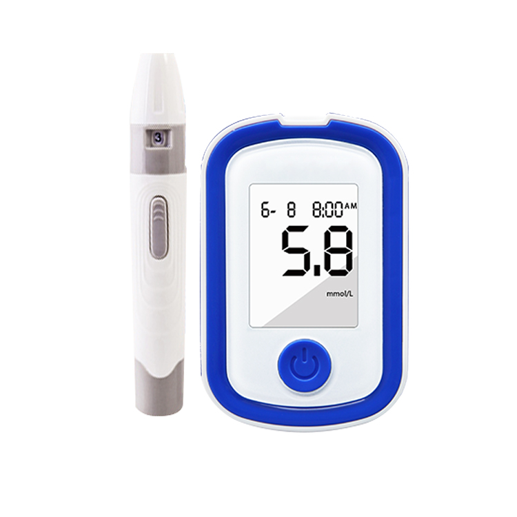 A talking blood glucose meter